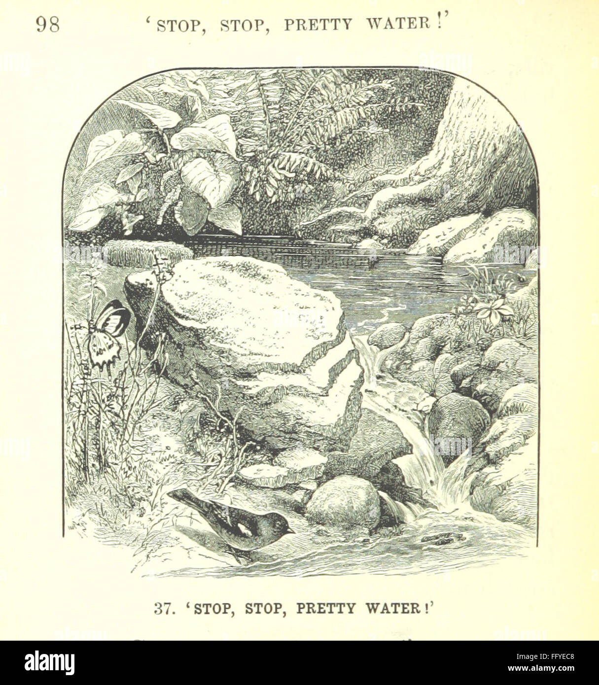 This edition of Chambers's New Geographical Readers provides a ...