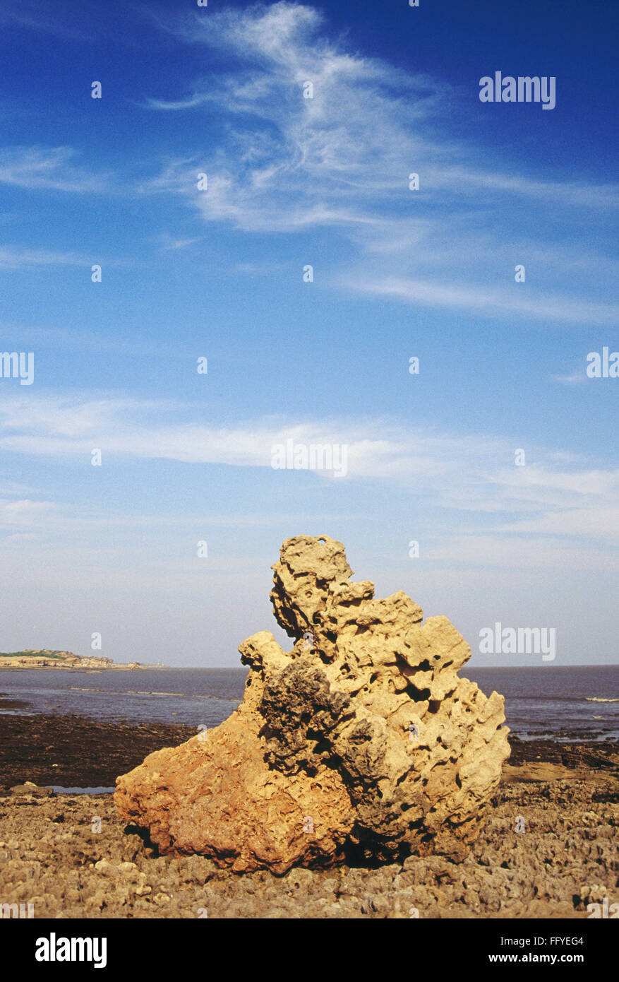 Sea stack , rocky pillar at Saurashtra , Gujarat , India Stock Photo ...