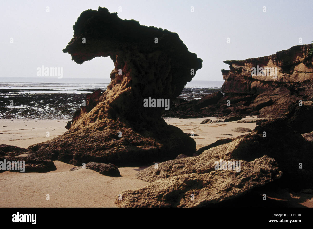 Sea stack , rocky pillar at Saurashtra , Gujarat , India Stock Photo ...
