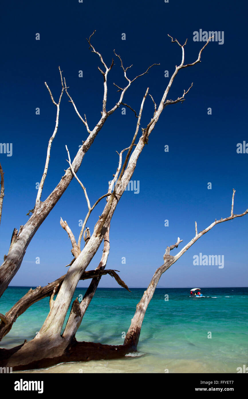 Elephant beach andaman hi-res stock photography and images - Alamy