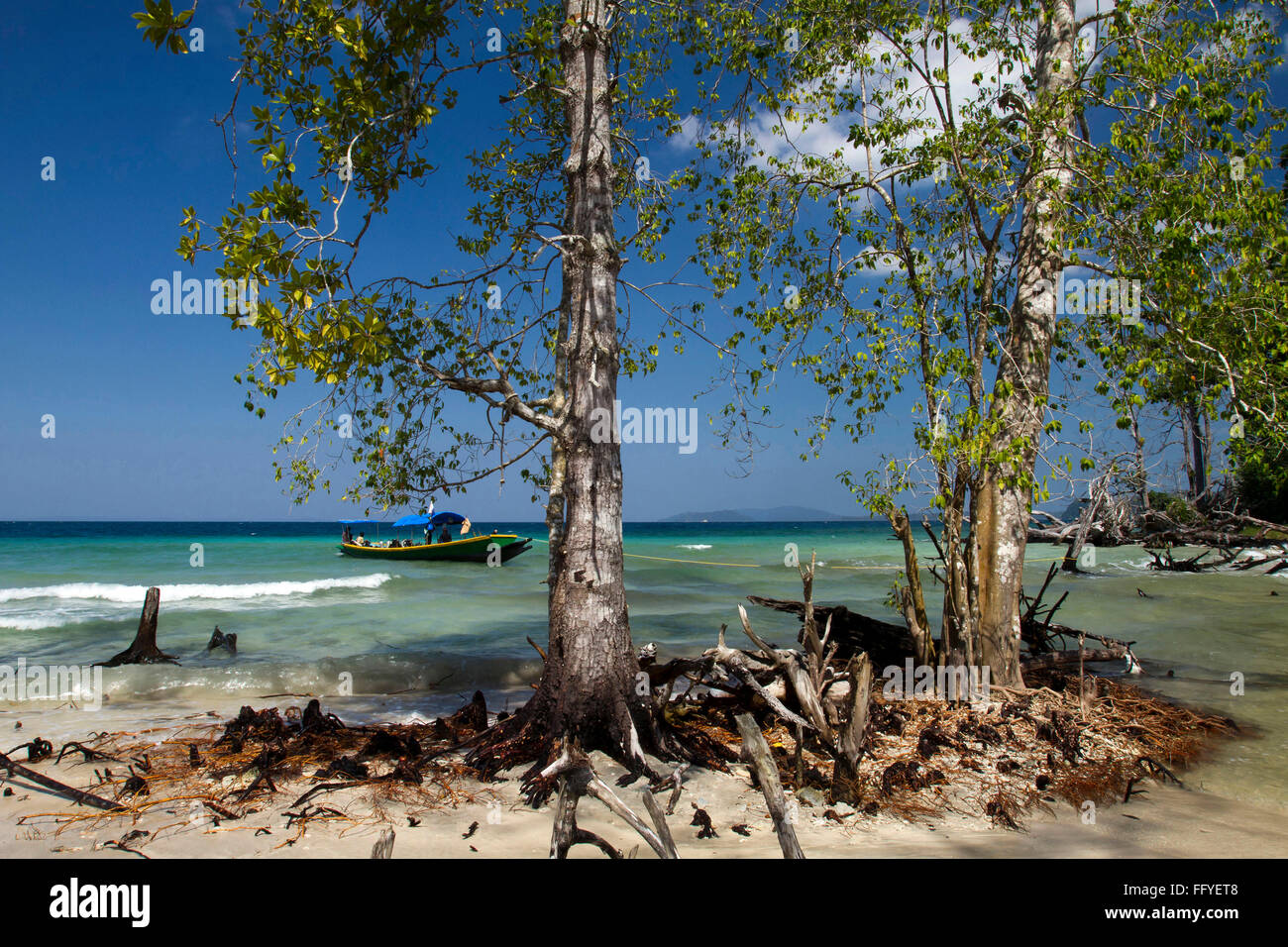 Seascape Elephant Beach Havelock island Andaman India Asia Stock Photo ...