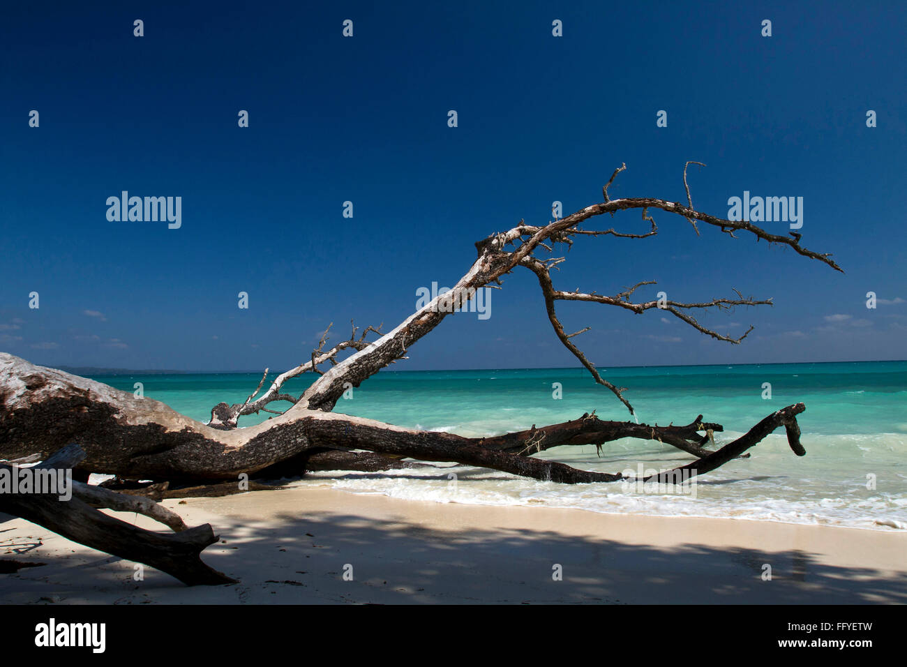 Seascape Kalapathar Beach Havelock island Andaman India Asia Stock ...