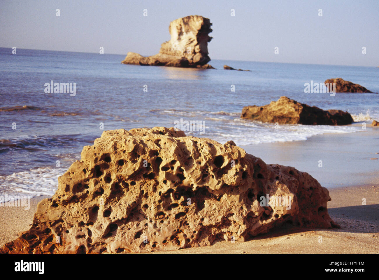 Sea stack , rocky pillar at Saurashtra , Gujarat , India Stock Photo ...