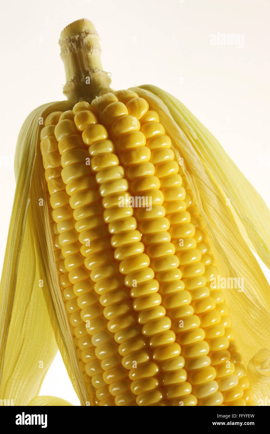 Bright yellow sweet corn hi-res stock photography and images - Alamy