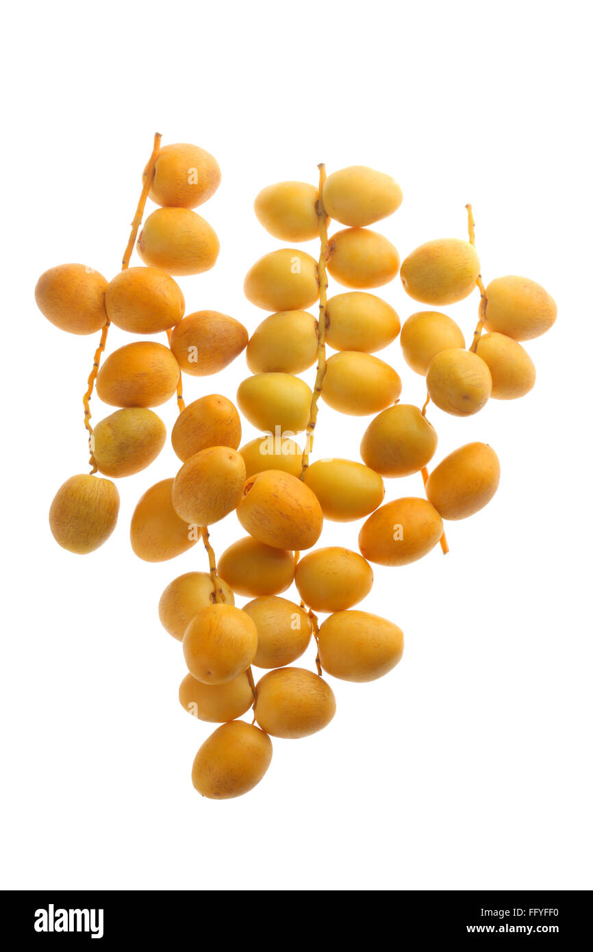 Bunch of yellow dates phoenix dactylifera ; India Stock Photo - Alamy