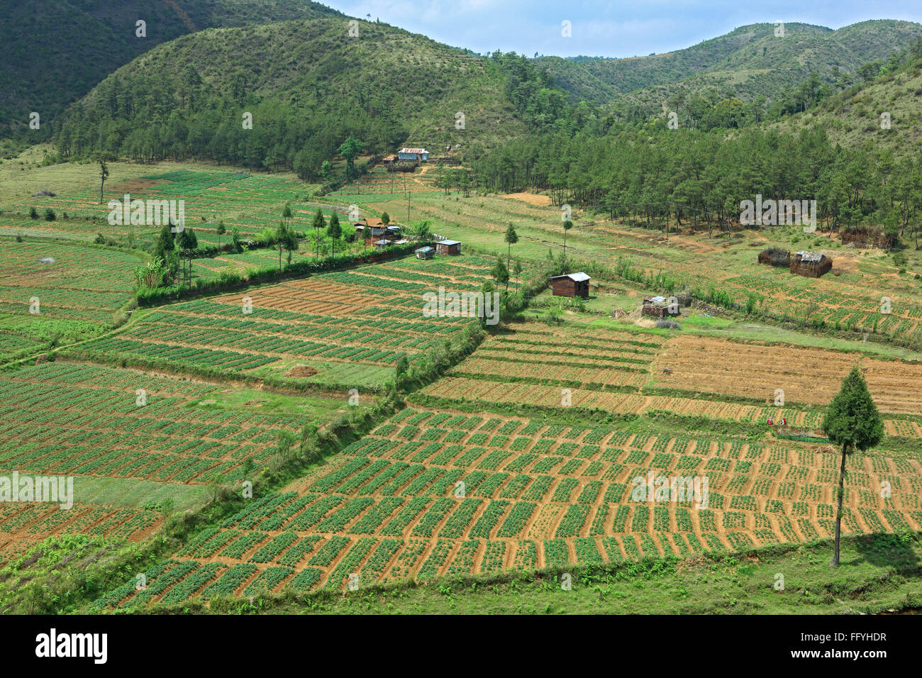Vegetable farming in india hi-res stock photography and images - Alamy