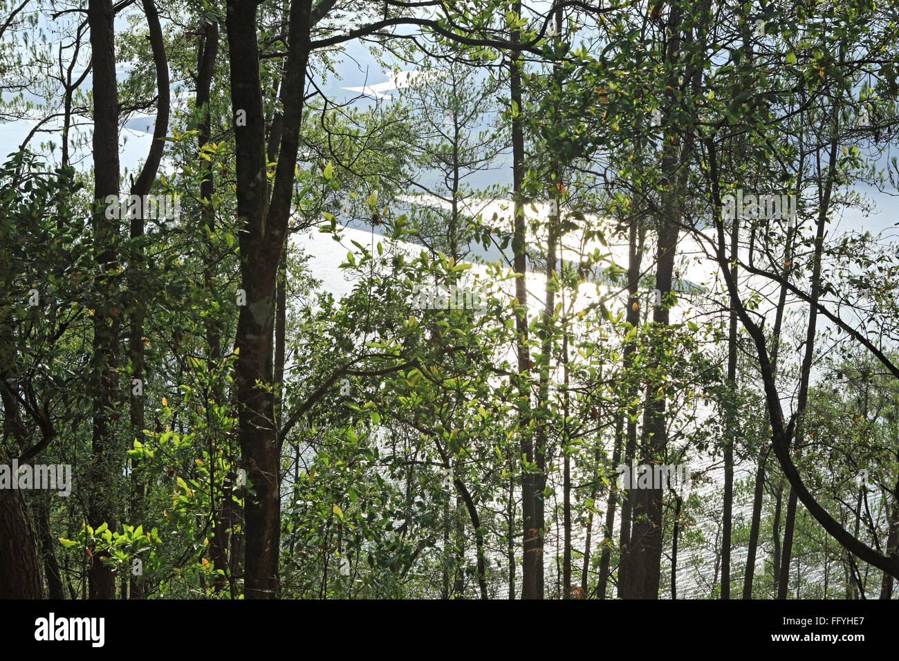 Umian Lake at barapani ; Meghalaya ; India Stock Photo - Alamy