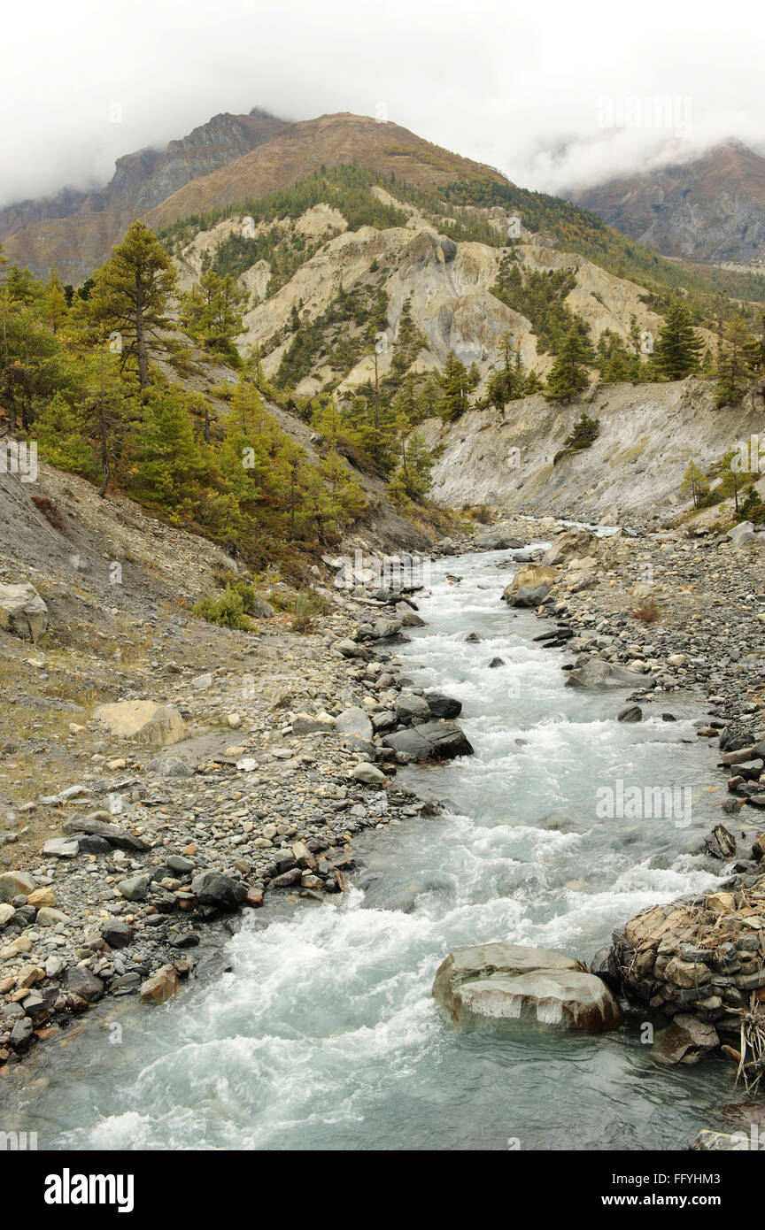 224524 hi-res stock photography and images - Alamy