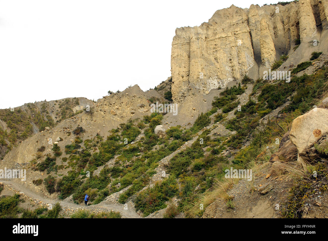 Way to manang hi-res stock photography and images - Alamy