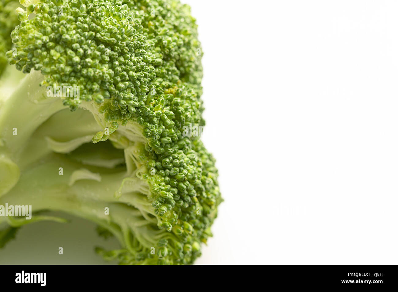 Vegetable , Broccoli on white background Stock Photo - Alamy