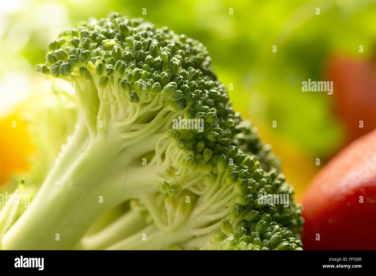 Vegetable , Broccoli Stock Photo - Alamy