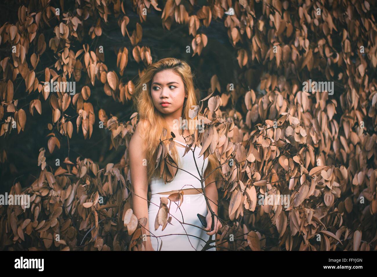 Fashion tree hi-res stock photography and images - Alamy