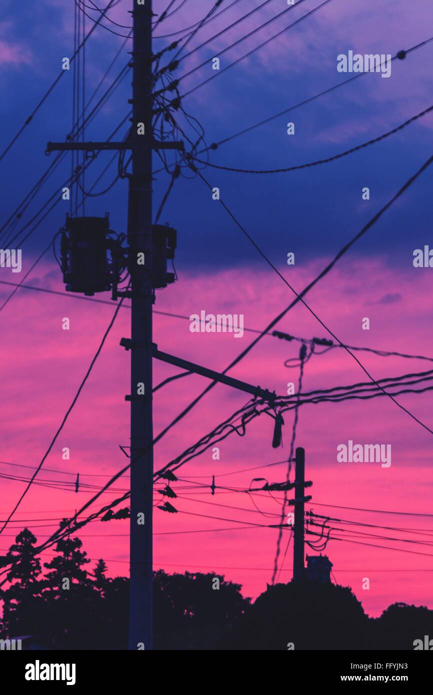 Telephone Poles And Wires Sunset