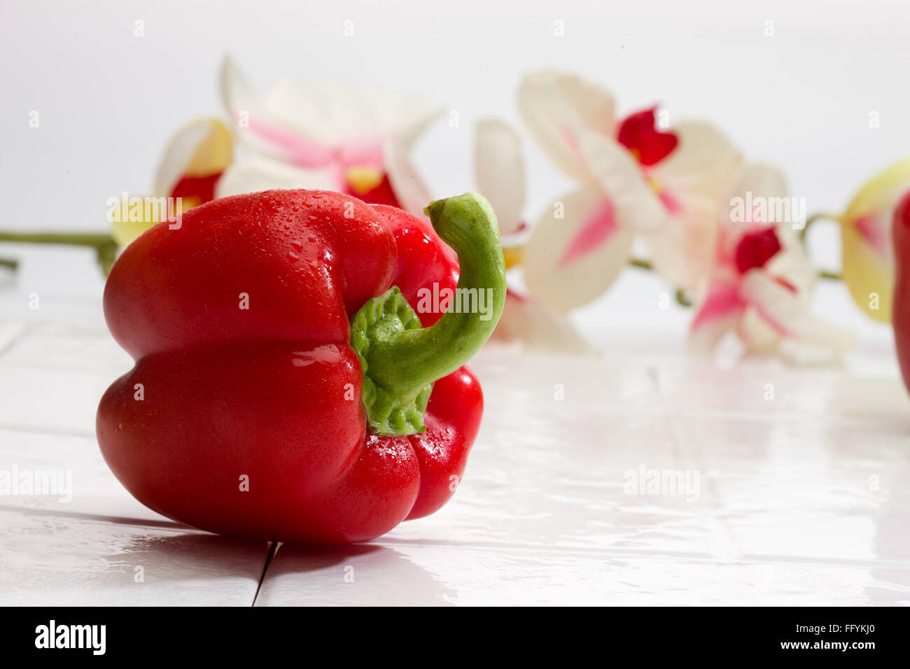 Capsicum flowers hi-res stock photography and images - Alamy