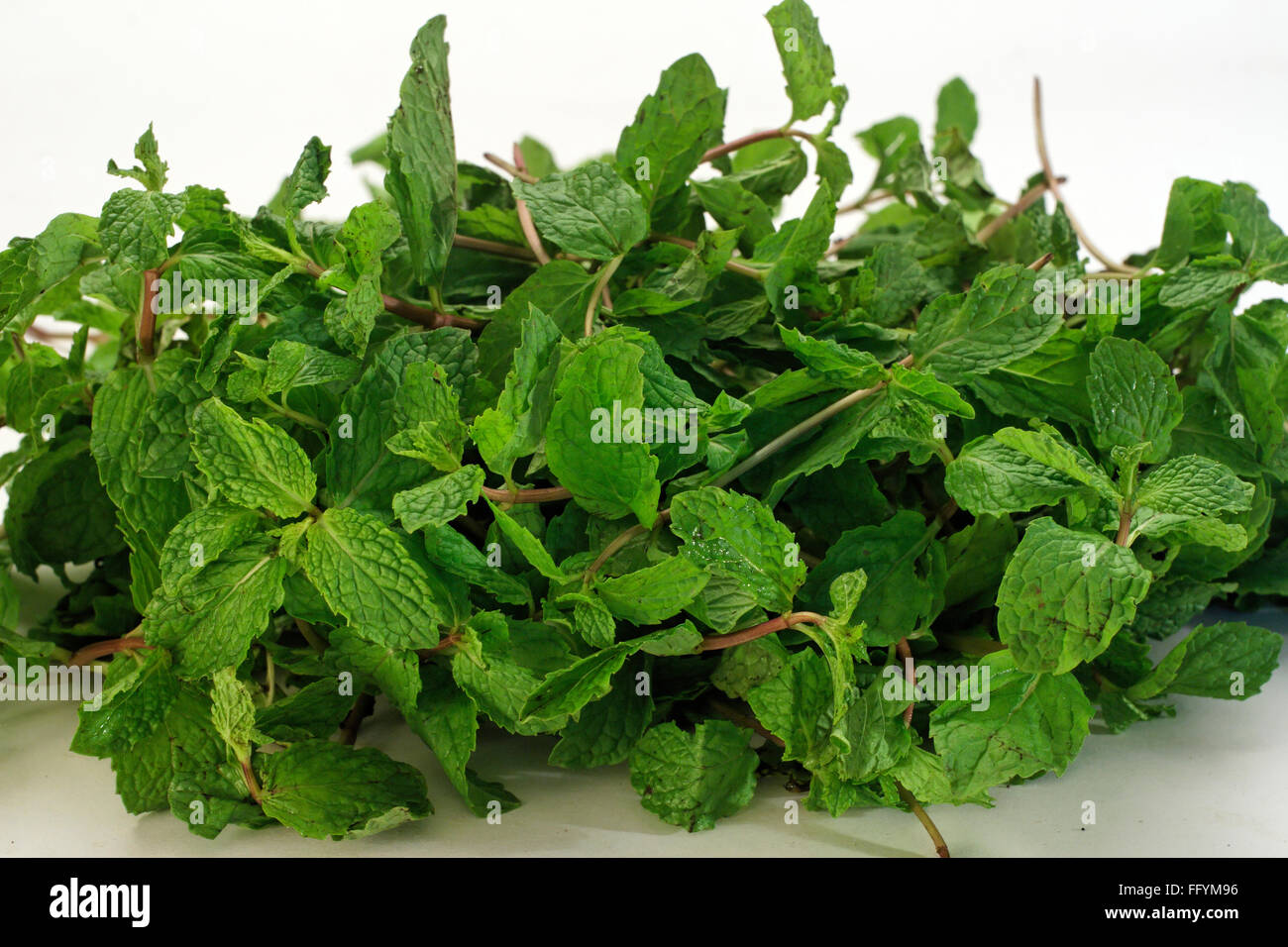 Spice , mint , India Stock Photo - Alamy
