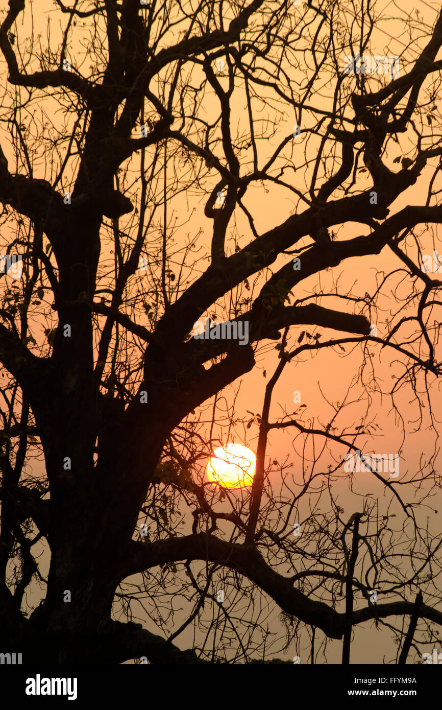 The sun view hi-res stock photography and images - Alamy