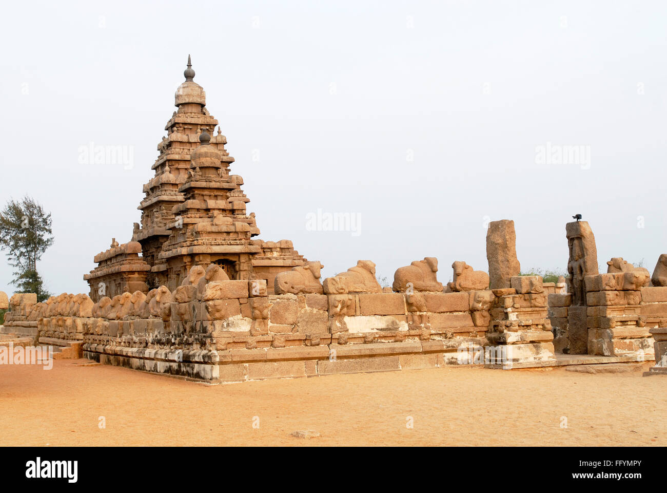Shore Temple in Mahabalipuram is one of the oldest temple in standing ...