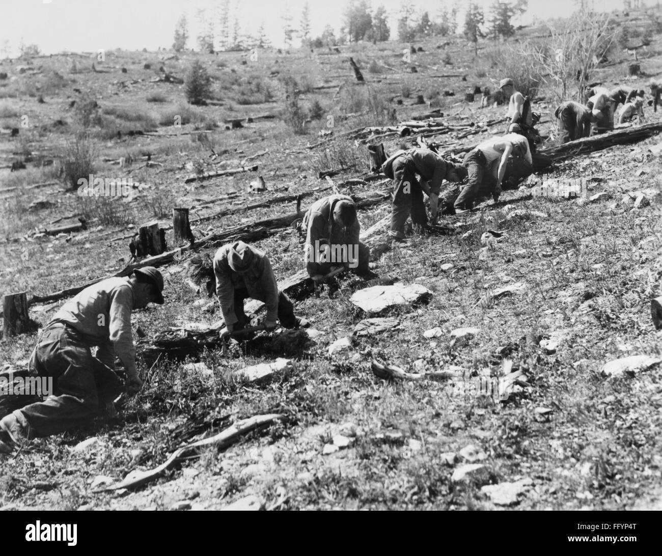 NEW DEAL: C.C.C., c1938. /nA crew of Civilian Conservation Corps ...