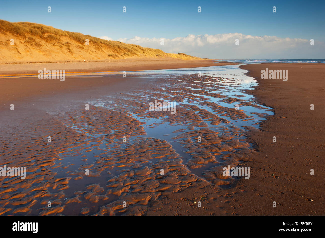 Balmedie country park hi-res stock photography and images - Alamy