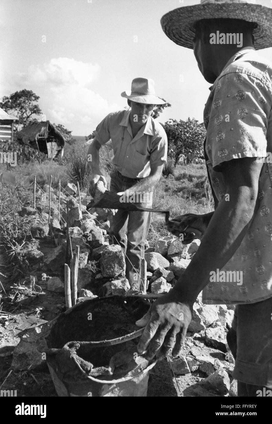 ST. LUCIA: FARMERS. /nAmerican Peace Corps volunteer George Askew of ...