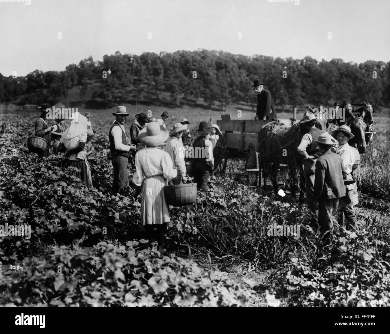 HENRY JOHN HEINZ (1844-1919). /nAmerican businessman and founder of the ...