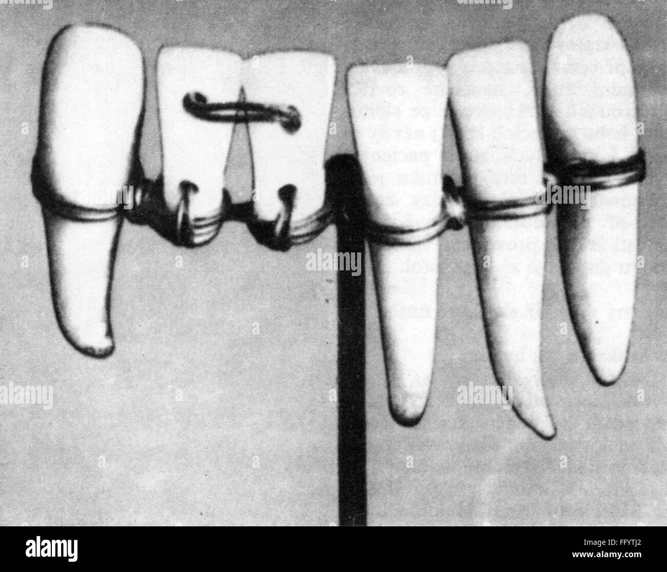 Bottom teeth hi-res stock photography and images - Alamy