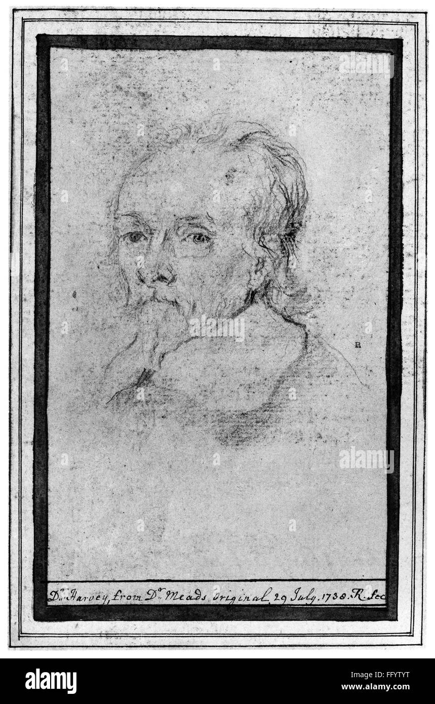WILLIAM HARVEY (1578-1657). /nEnglish physician and anatomist. Drawing ...
