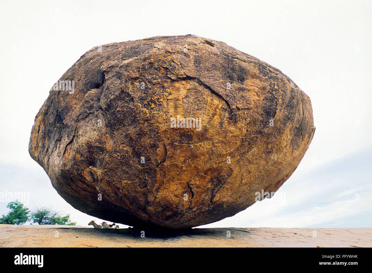 Krishna butter ball natural boulder ; Mahabalipuram Mamallapuram ...