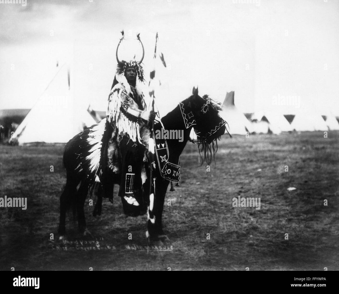 CAYUSE CHIEF, c1900. /nDavid Young, a Cayuse Native American chief ...