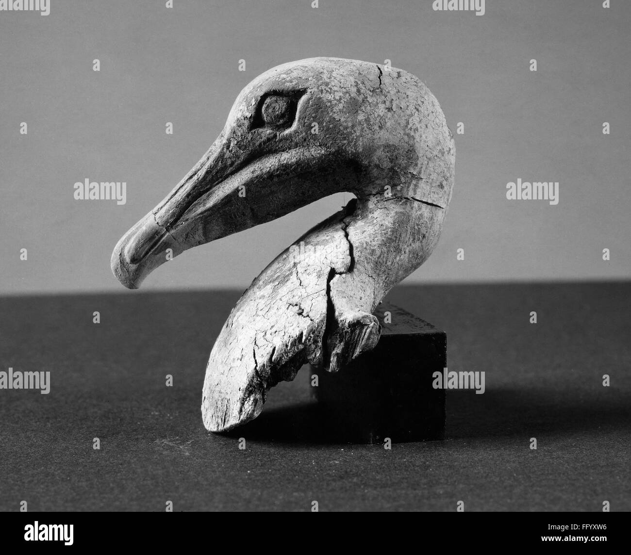 CALUSA FIGUREHEAD. /nCarved wooden pelican figurehead of the Calusa ...