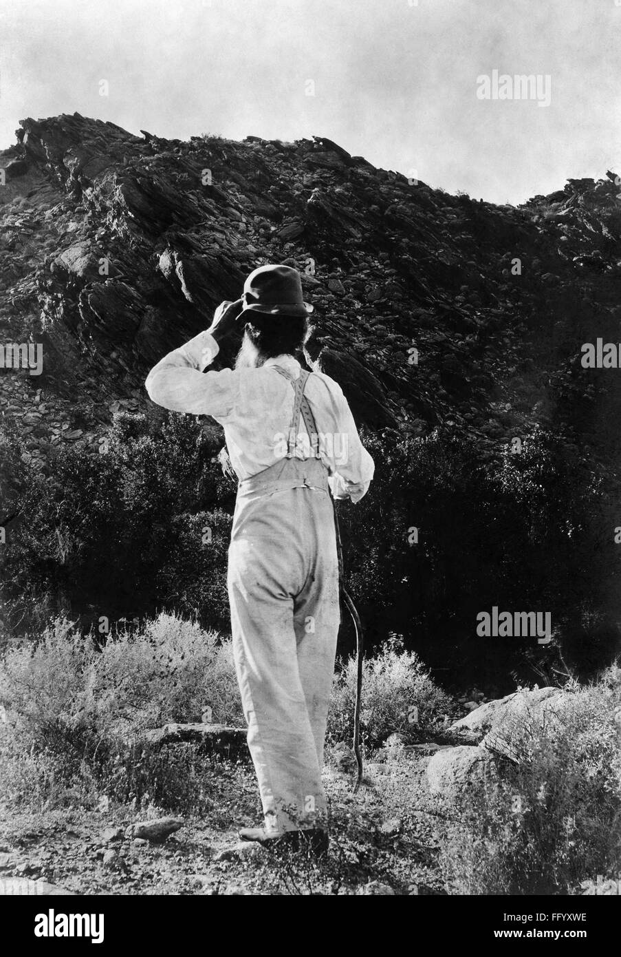 JOHN MUIR (1838-1914). /nAmerican naturalist. Photographed in the ...
