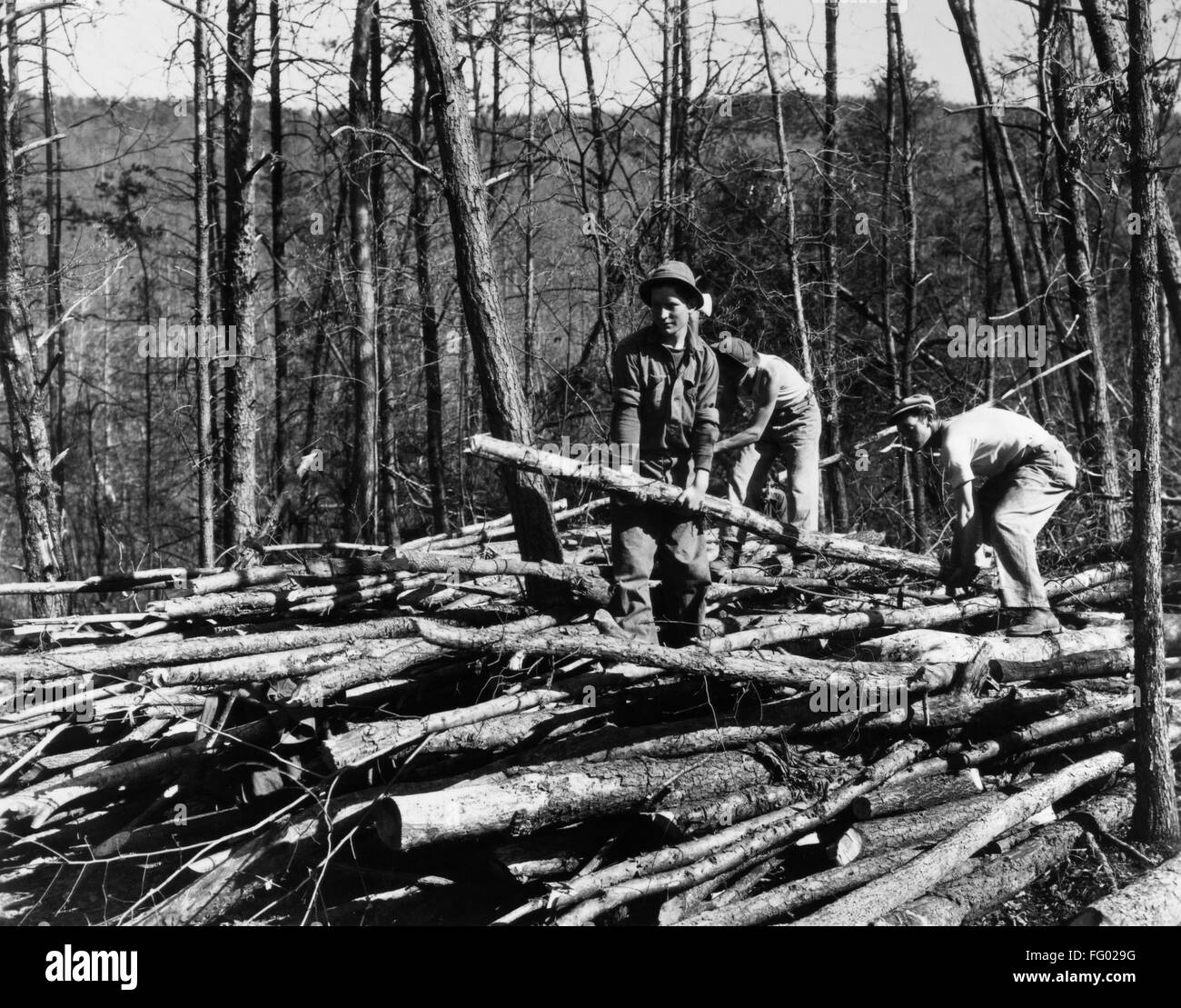NEW DEAL: CCC, c1938. /nCivilian Conservation Corps members engaged in ...