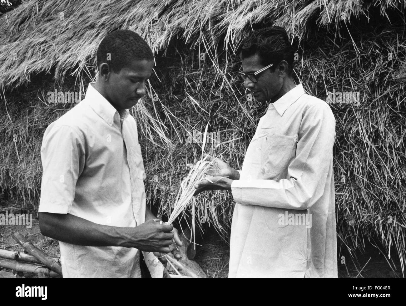 Indian corps hi-res stock photography and images - Alamy