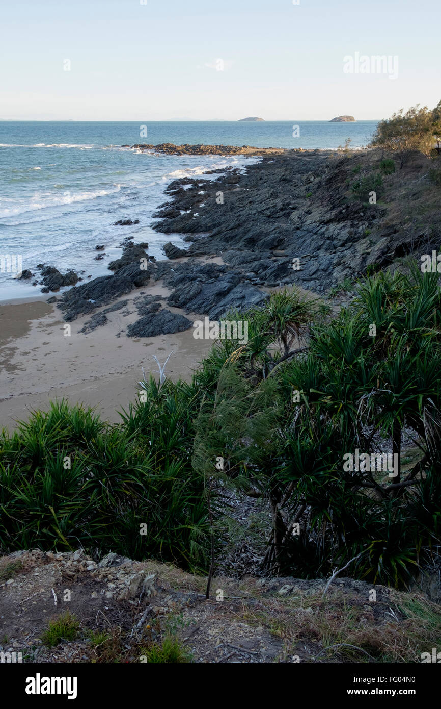 Emu beach hi-res stock photography and images - Alamy