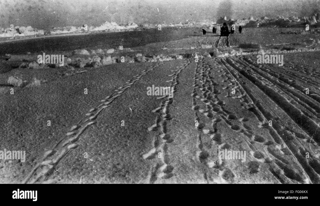 ARCTIC EXPEDITION, 1908-09. /nA dog-sled, part of Robert Peary's ...