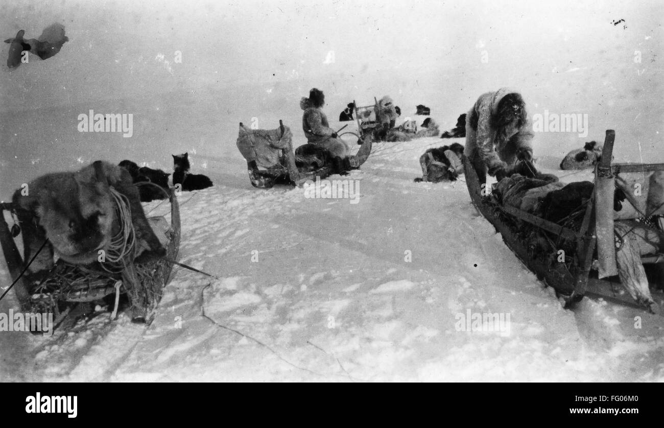 PEARY EXPEDITION, c1908. /nDogsled teams during an expedition to find ...