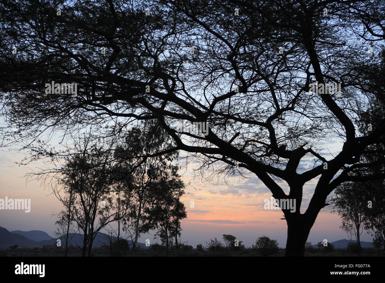 Sunrise , Talegaon , Pune , Maharashtra , India Stock Photo - Alamy