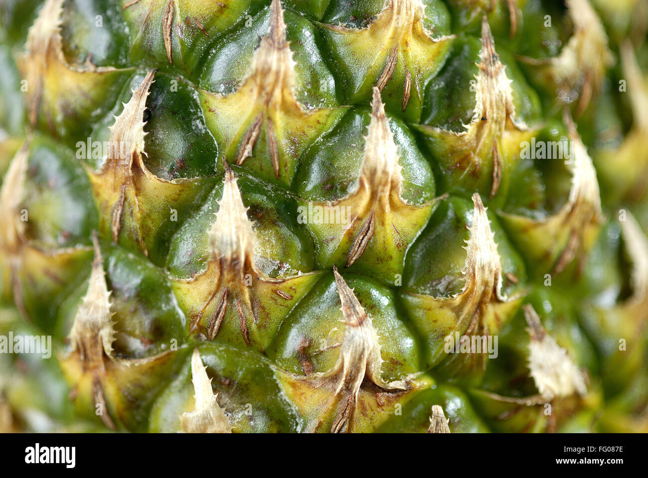 Fruit Pineapple close up Stock Photo - Alamy