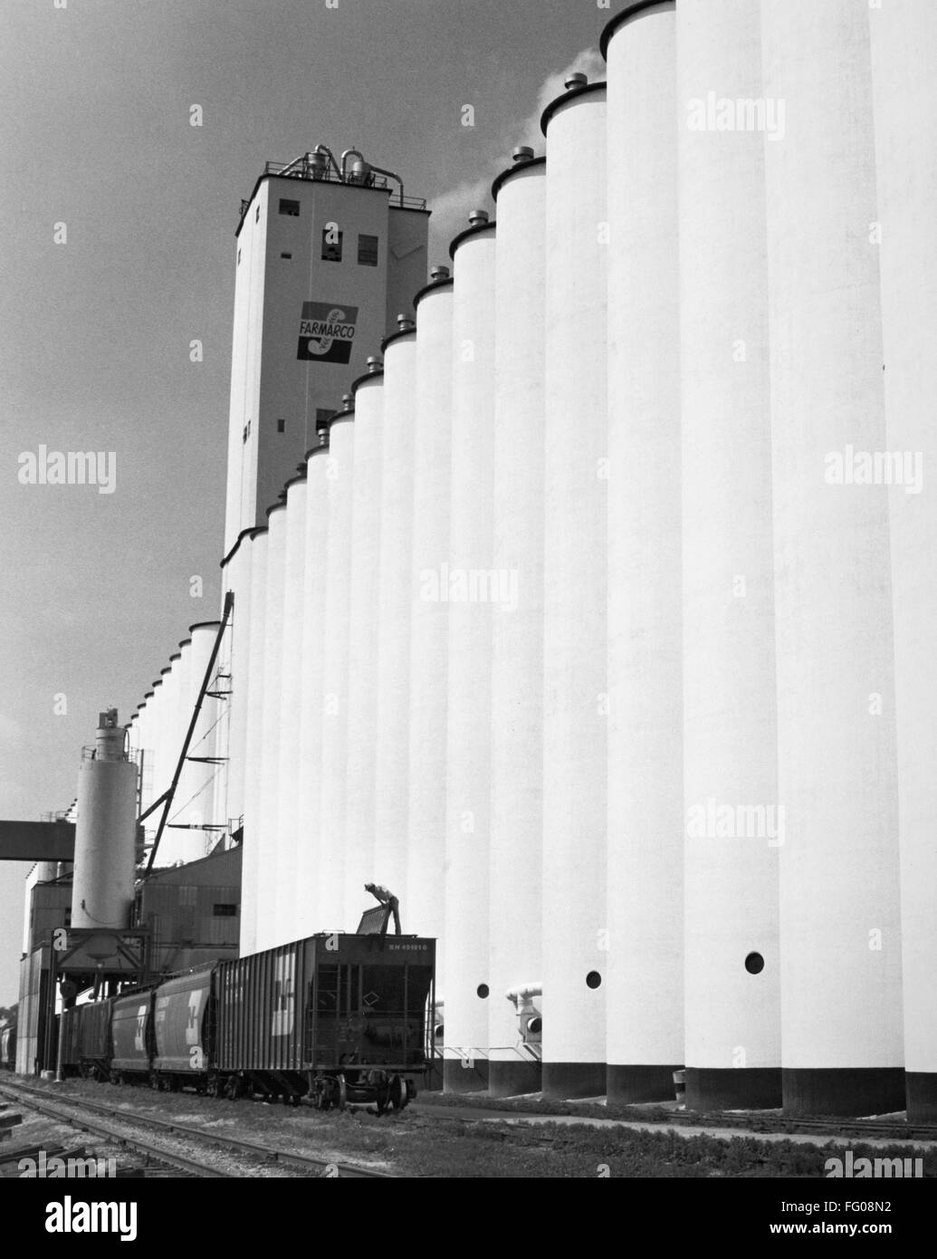 AGRICULTURE: GRAIN LOADING. /nA Burlington Northern Railroad train ...