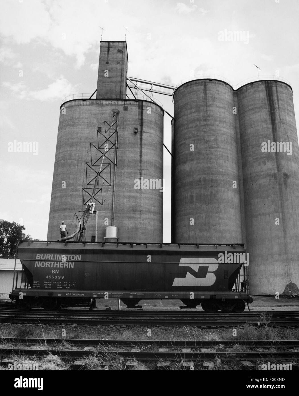 AGRICULTURE: GRAIN LOADING. /nA Burlington Northern Railroad train ...