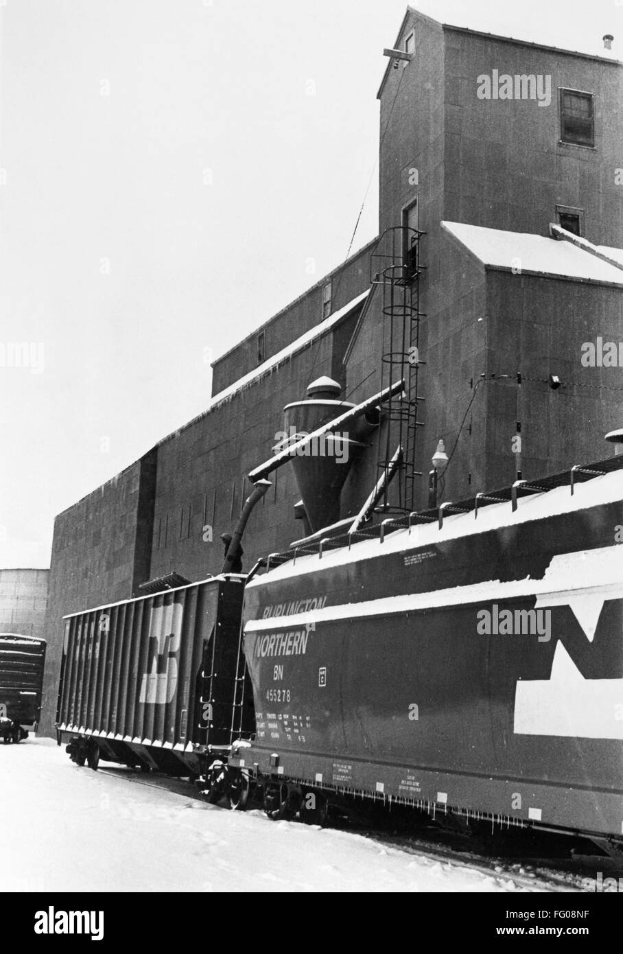 AGRICULTURE: GRAIN LOADING. /nA Burlington Northern Railroad train ...