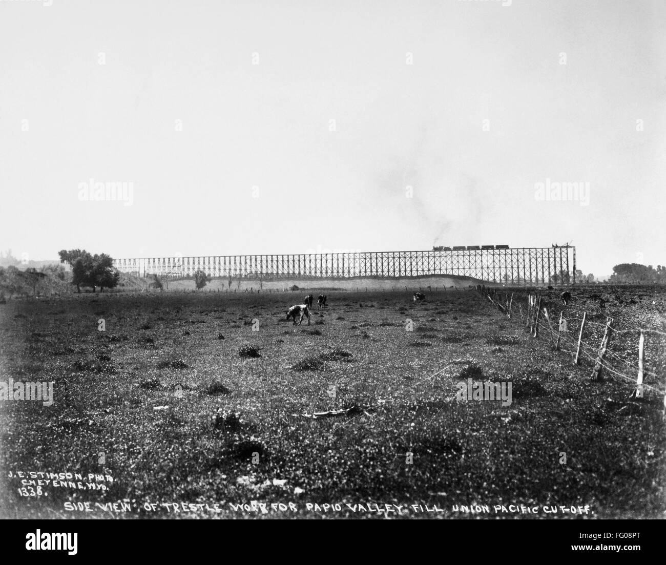 NEBRASKA: RAILROAD TRESTLE. /nTemporary trestle work built by the Union ...
