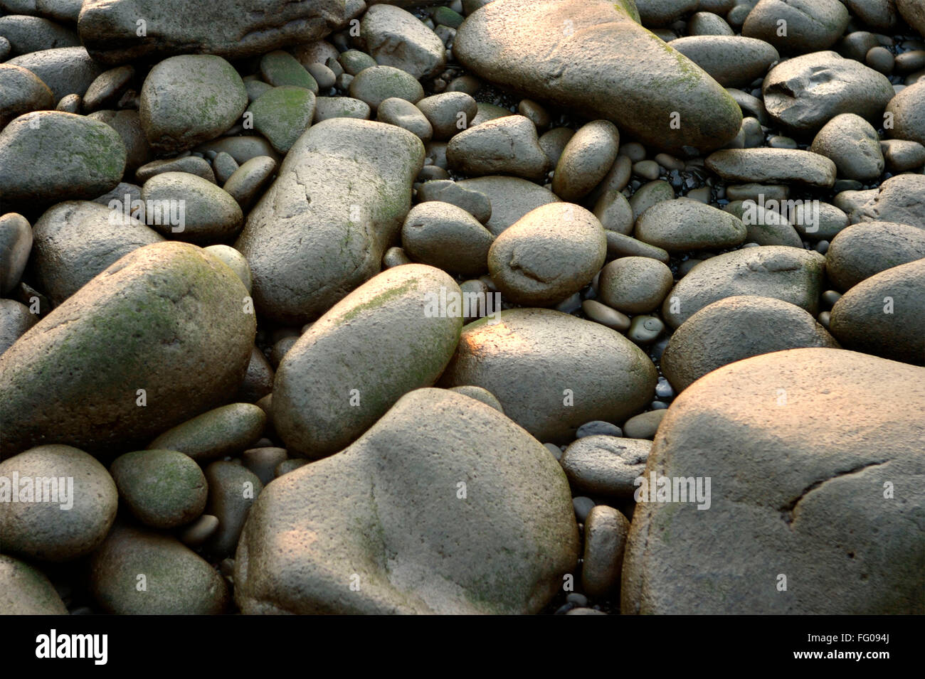 Pebbles on beach Stock Photo - Alamy