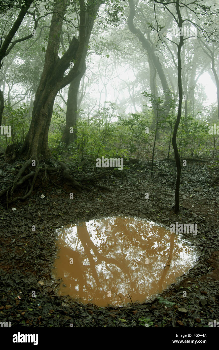 India maharashtra matheran weather station hi-res stock photography and ...