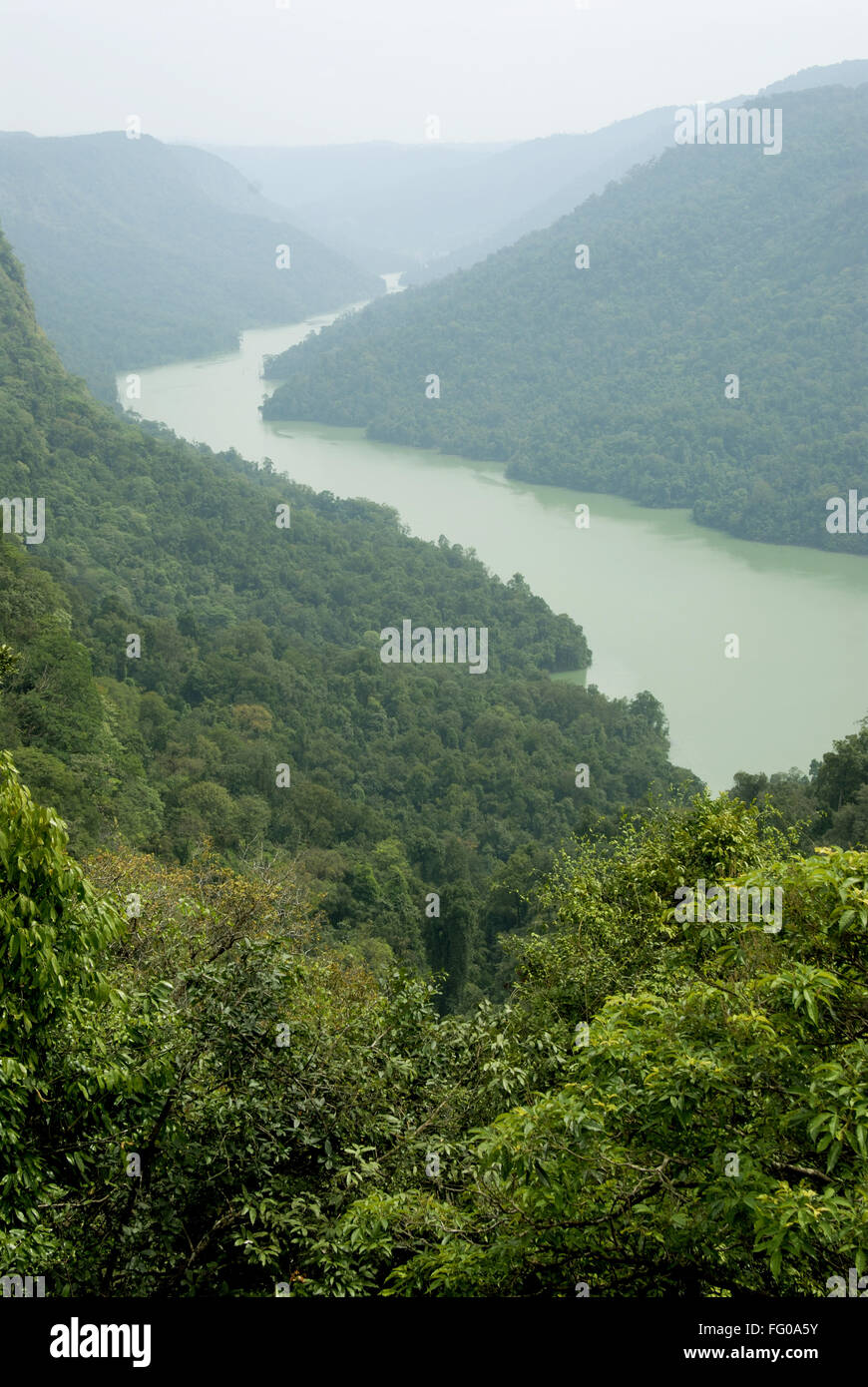 River sharavati hi-res stock photography and images - Alamy