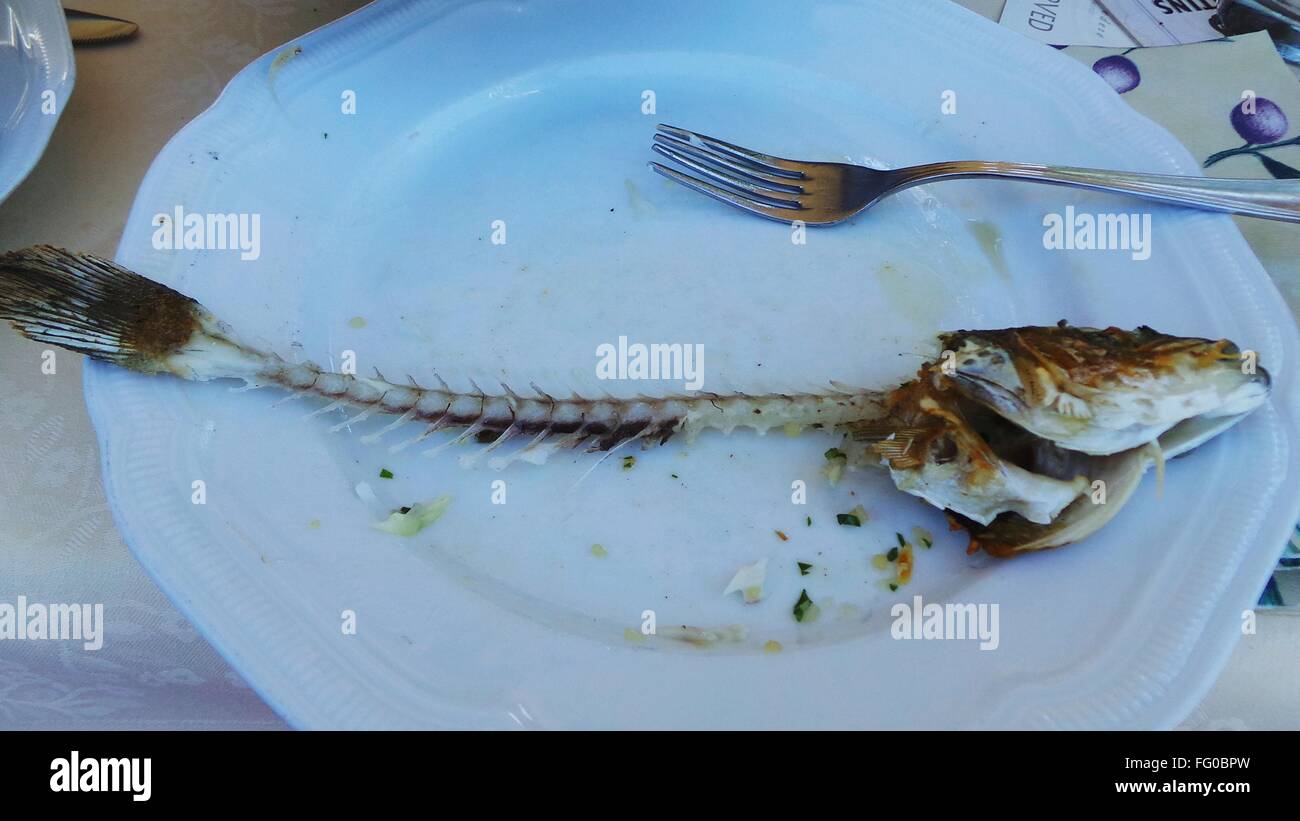 Fish Bone High Resolution Stock Photography and Images - Alamy