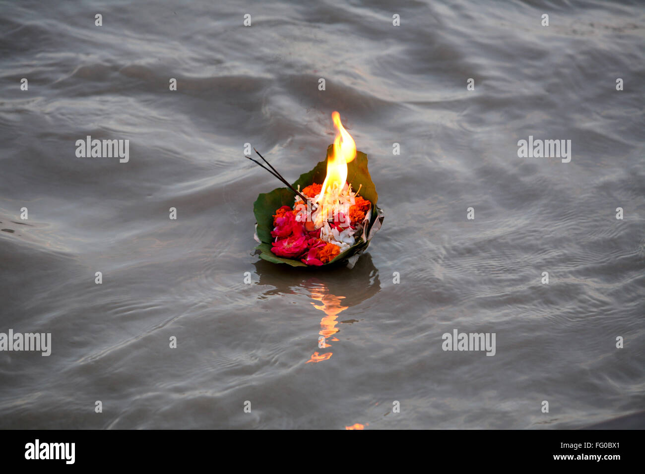 Holy offering of flowers with agarbatti and diya in Ganga river ...