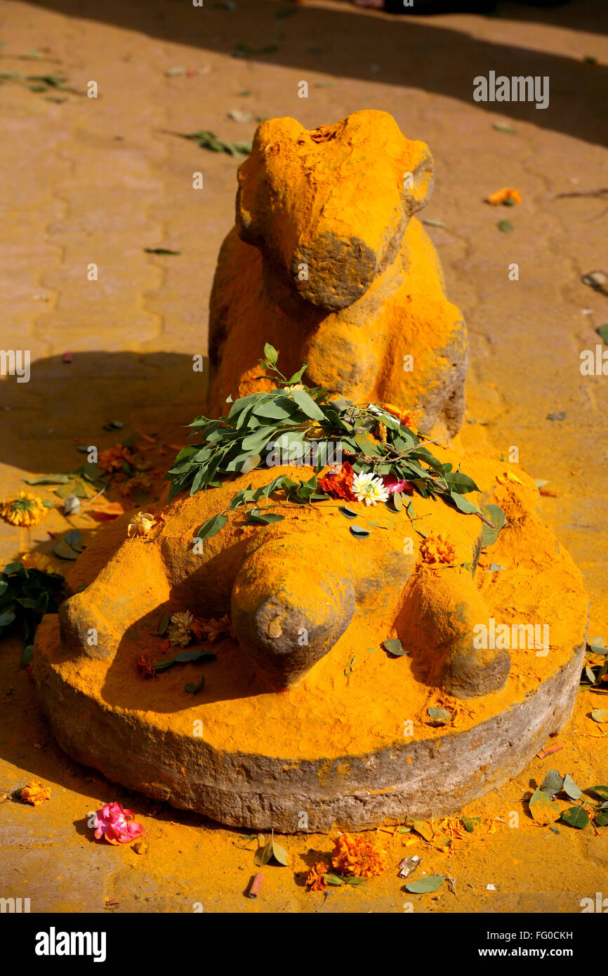 Statues of tortoise and Nandi bail (bull) immersed in turmeric powder ...