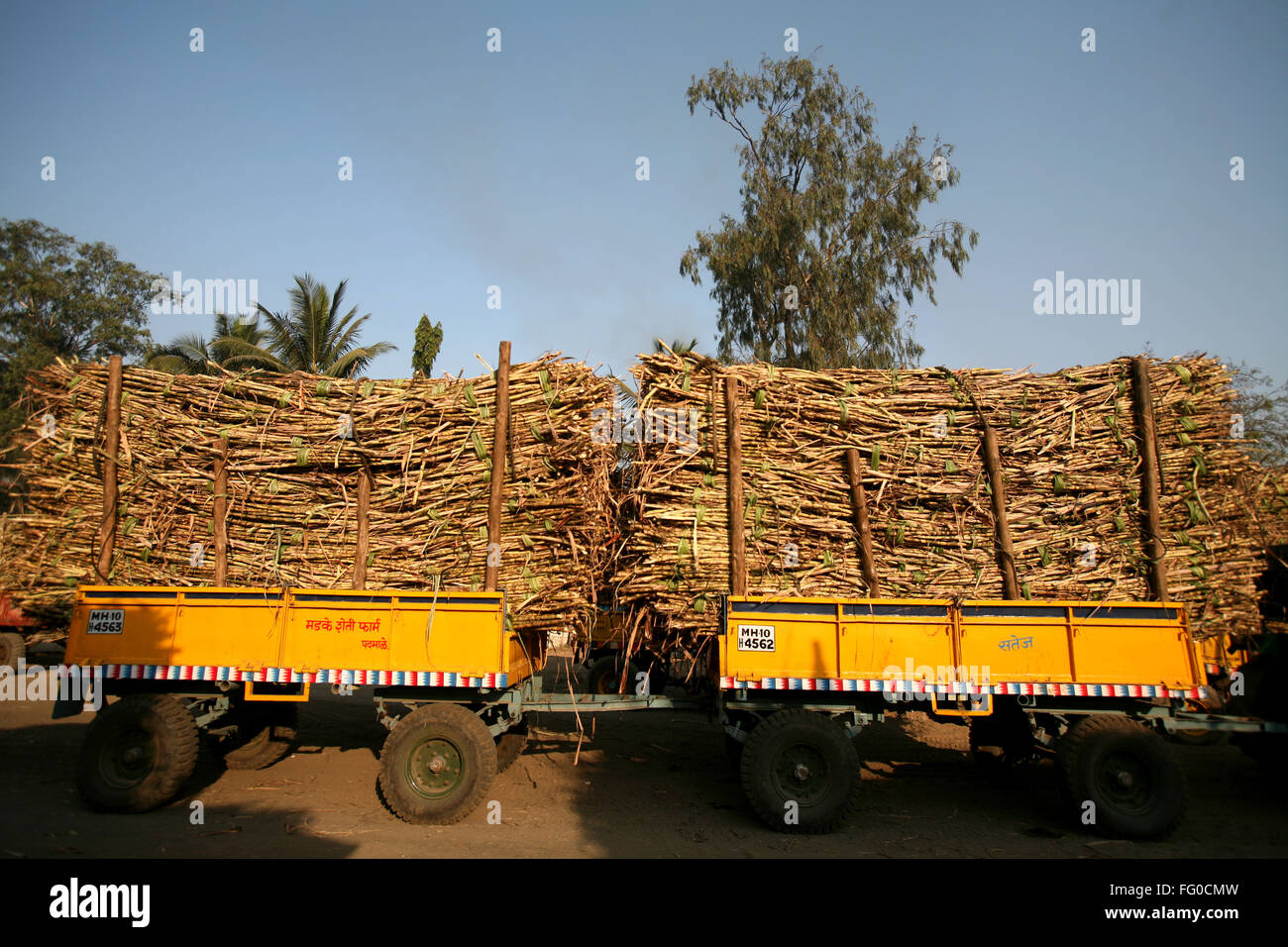 Sugar cane transport hi-res stock photography and images - Alamy