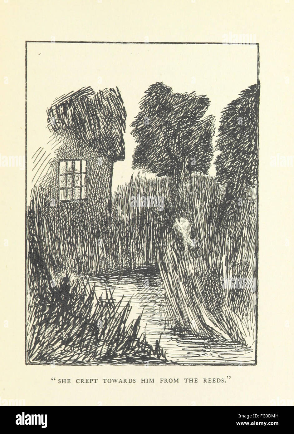 'The Revelations of a Sprite' is a vintage book edited and illustrated ...